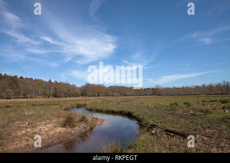 Highland Water stream restored in Queens Meadow New Forest National ...