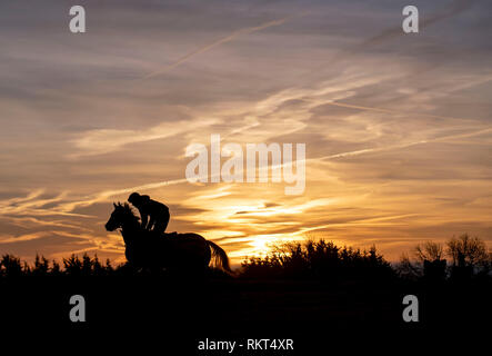 Race horses are exercised on the gallops in Lambourn, Berkshire Stock ...