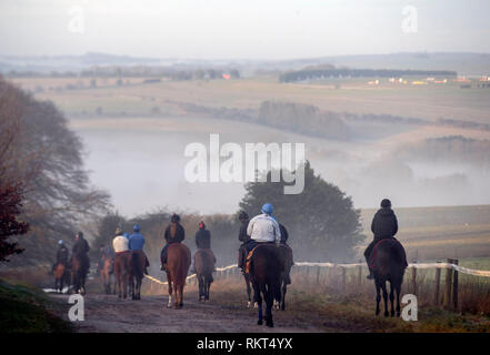 Race horses are exercised on the gallops in Lambourn, Berkshire Stock ...