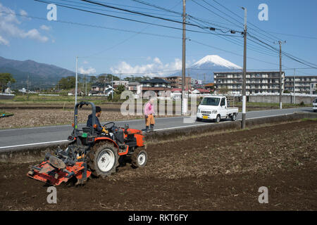 Japan, Susono: " Mount Fuji viewed from Iwanami *** Local Caption ...