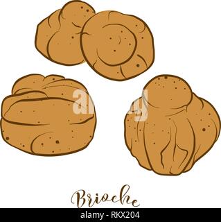 Colored drawing of Brioche bread. Vector illustration of Yeast bread ...