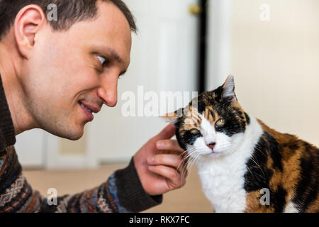 Man pet owner bonding with calico cat by rubbing petting head friends ...