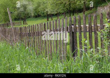 Wooden staple fence in a garden Stock Photo - Alamy