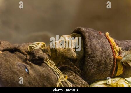 China, Xinjiang Province, Taklamakan Desert trees Stock Photo - Alamy