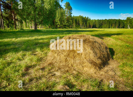 In the field, once the grass is cut,is a haystack Stock Photo - Alamy