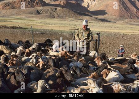 Kyrgyz nomads herding their sheep in the Pshart Valley, Tajikistan ...