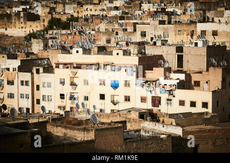 A high-angle view of a beautiful dense colorful forest during fall ...