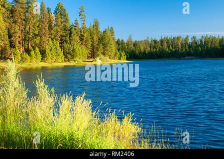 Delintment Lake, Ochoco National Forest, Oregon Stock Photo - Alamy