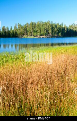 Delintment Lake, Ochoco National Forest, Oregon Stock Photo - Alamy