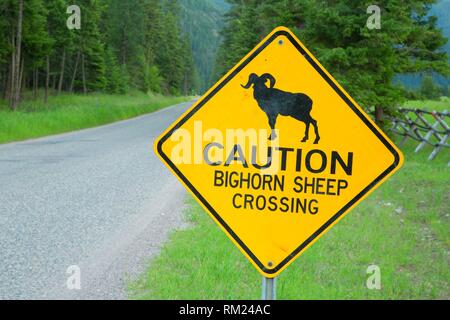 Road sign warning of Bighorn Sheep crossing. Plains, Montana Stock ...