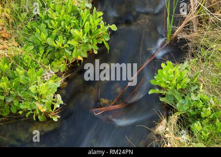 moapa valley, national, wildlife, refuge, Nevada, oasis, USA, United ...