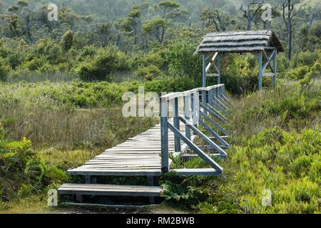 turberas, Parque Nacional Chiloé, Cucao, cordillera de la costa ...