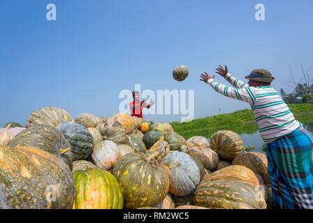 The Arial Beel (water body) of Munshiganj is famous for producing ...