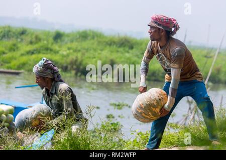 The Arial Beel (water body) of Munshiganj is famous for producing ...