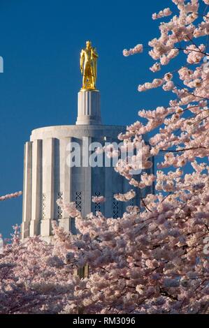 Oregon pioneer statue with cherry blossoms, State Capitol State Park ...
