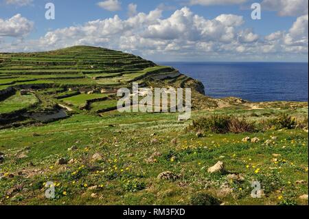 Landscape of terraced fields at island Gozo on Malta Stock Photo ...