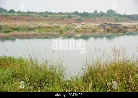 Auranga River, Valsad, Gujarat, India, Asia Stock Photo - Alamy