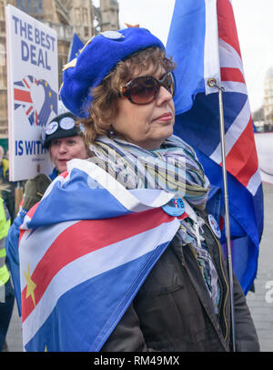 Leave supporters continue their daily protest outside the Houses of ...