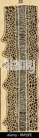 . Annual report of the Regents. /34 /36 Stock Photo - Alamy