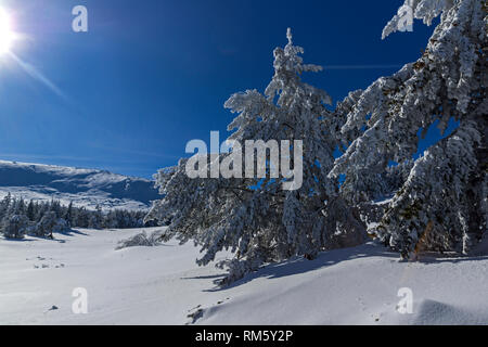 Amazing Winter landscape of Vitosha Mountain, Sofia City Region ...