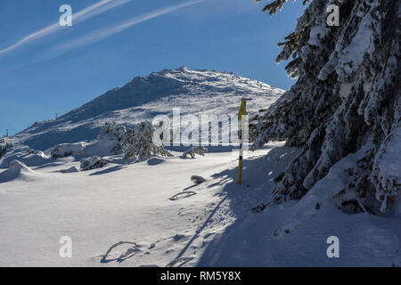 Amazing Winter landscape of Vitosha Mountain, Sofia City Region ...
