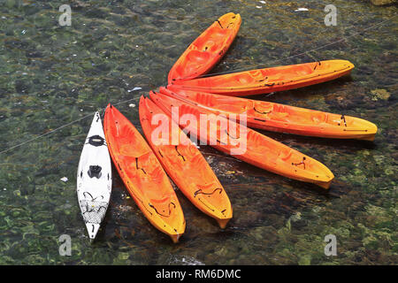 Sea touring orange kayaks at mooring line Stock Photo - Alamy