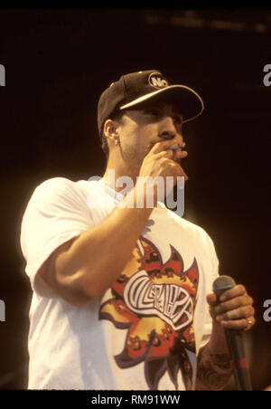 Louis Freese, better known by his stage name B-Real of Cypress Hill, is ...