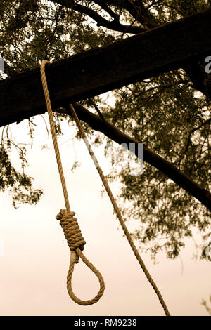 A noose hangs from a tree in Golfield ghost town, outside of Phoenix ...