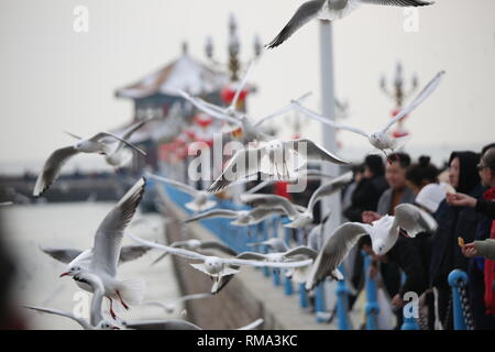 Qingdao, Qingdao, China. 14th Feb, 2019. Qingdao, CHINA-The snow ...