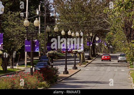Old fashioned lamp posts with baskets of colourful summer flowers ...