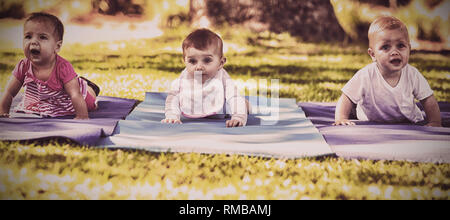 Three babies crawling on exercise-mat Stock Photo - Alamy