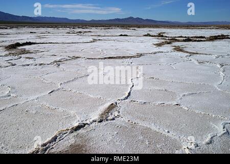 View of salt desert field with crystallized dry salt formations Stock ...