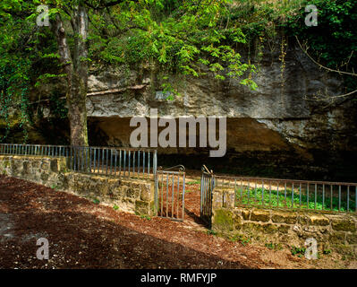 Homo Sapiens. Cro-Magnon. Early modern human. European Upper ...