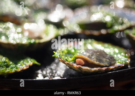 grilled limpets with green mojo, typical avocado in Lanzarote, Canary ...