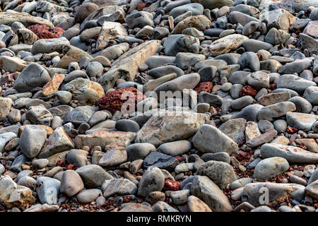 Colorful wet rocks closeup showing varied textures and patterns at ...