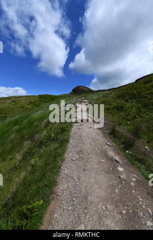 On the footpath from Balmaha to Conic Hill. Loch Lomond, Scotland UK ...