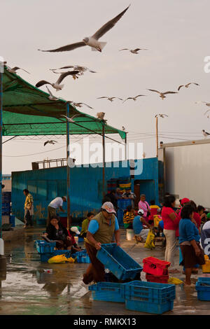 Ica's fish market in Peru Stock Photo - Alamy