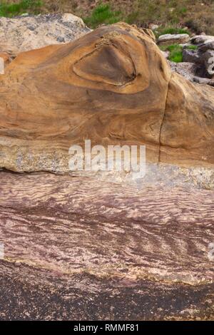 Convolute Bedding in Scottish Carboniferous Sandstone Geology Exposed ...