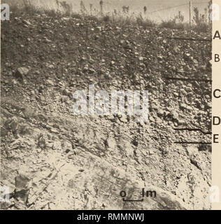 Pretoria Daspoort tunnel Stock Photo - Alamy