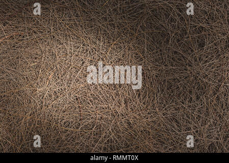 twigs and dead leaves on the ground background texture Stock Photo - Alamy