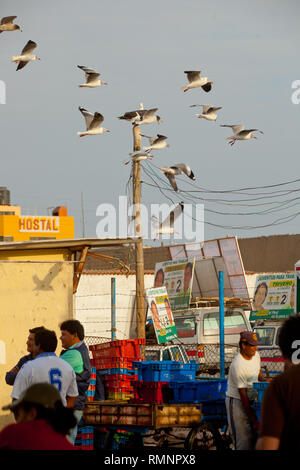 Ica's fish market in Peru Stock Photo - Alamy