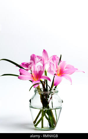 Vase of pink lily flower on wooden table. green background Stock Photo ...