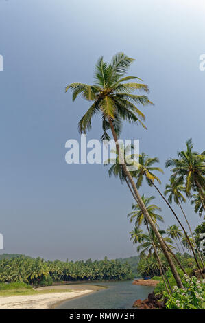 Khavane beach, sindhudurg, Maharashtra, India, Asia Stock Photo - Alamy