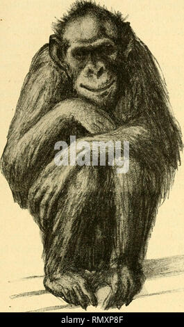 Le Laboratoire de la nature is about the representation of nature and ...