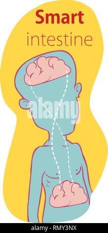 Relation of human brain and guts, second brain, image diagram, vector ...