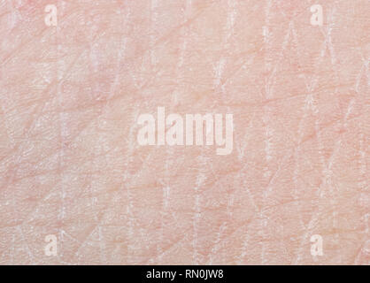 human skin texture for background Stock Photo - Alamy