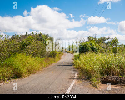 Ruta panoramica road in Puerto Rico. USA. this road is little used by ...