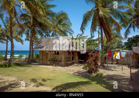 Traditional huts with palms at Palawan island, Philippines Stock Photo ...