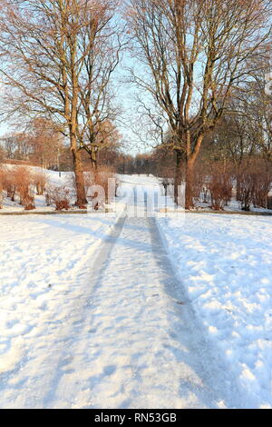 Walkway or footpath through white snowy forest in winter Stock Photo ...