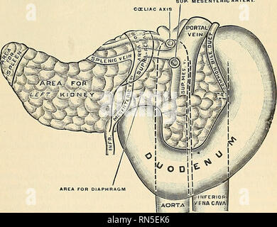 . Anatomy, descriptive and applied. Anatomy. THE PANCREAS 1337 The head ...